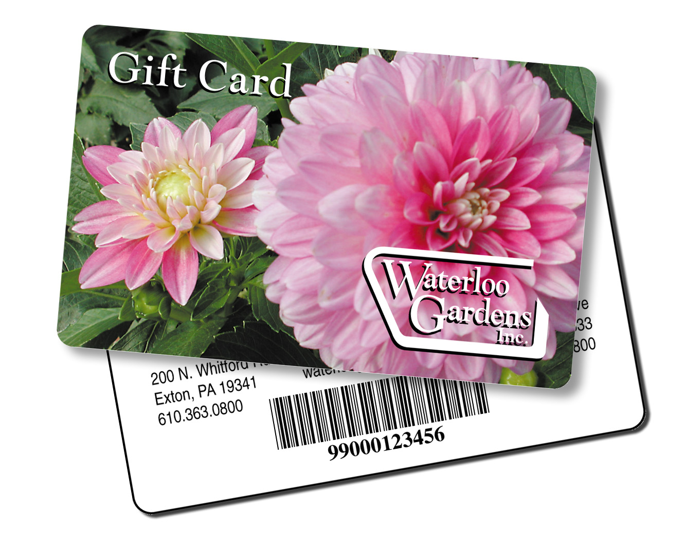 Custom Gift Cards - Vanguard ID Systems